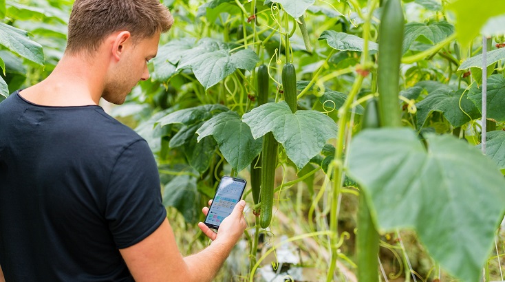 Versnellen groene digitalisering glastuinbouw: Home
